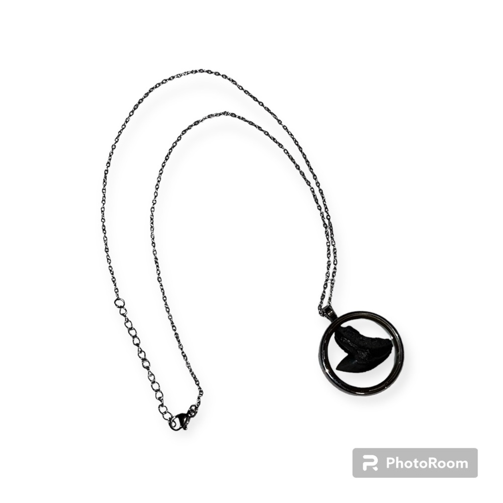 Sharks Tooth Locket Necklace - Gem